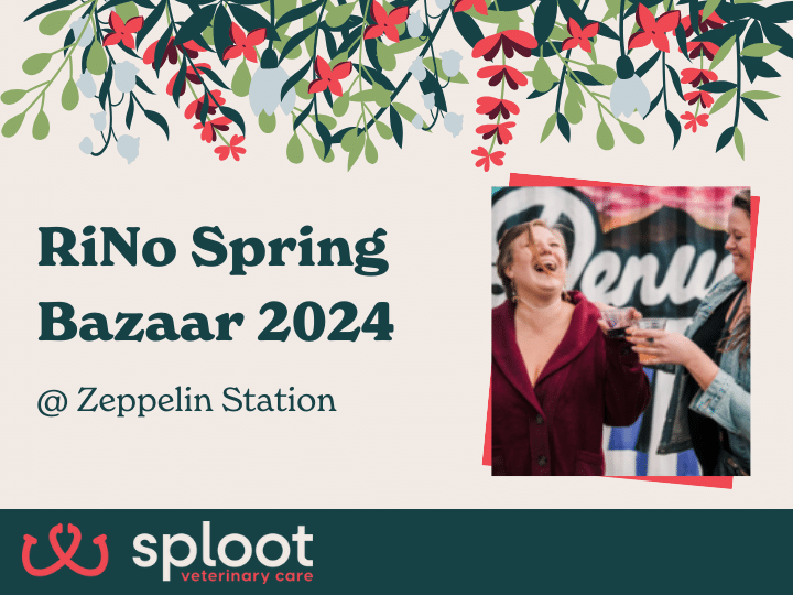 Denver Veterinary - Sploot Veterinary Care